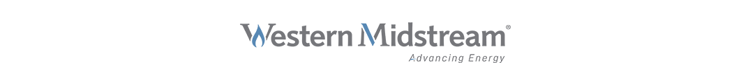 webinar.net