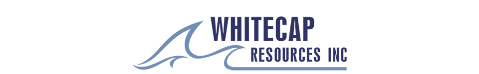webinar.net